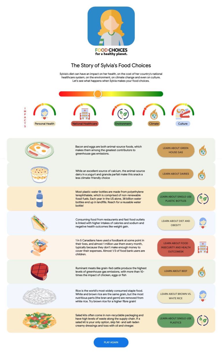 Food Choices for a Healthy Planet: The Game