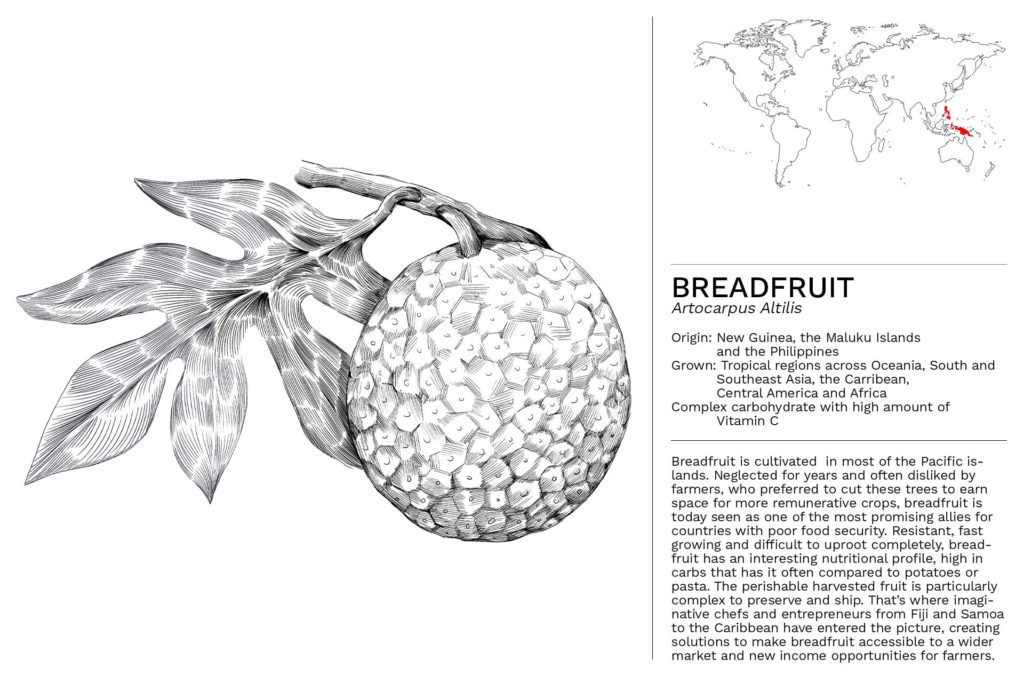 Breadfruit and the Reawakened 25 - Lexicon of Food™