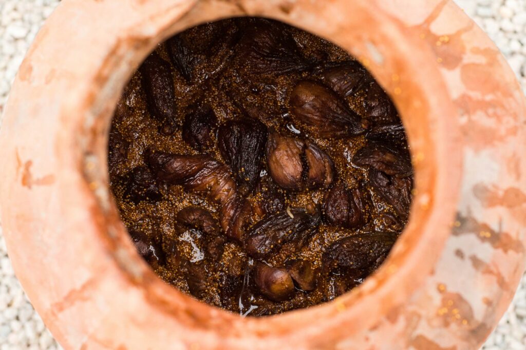 The Fig Trees of Siguas - Lexicon of Food™