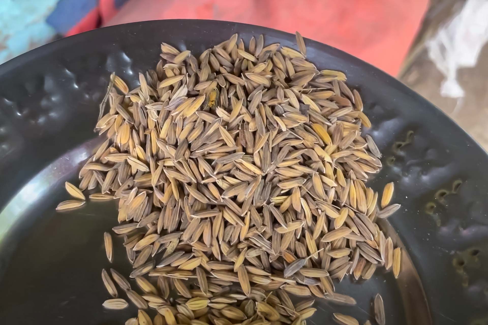 Cheng Rice of Manipur - Lexicon of Food™