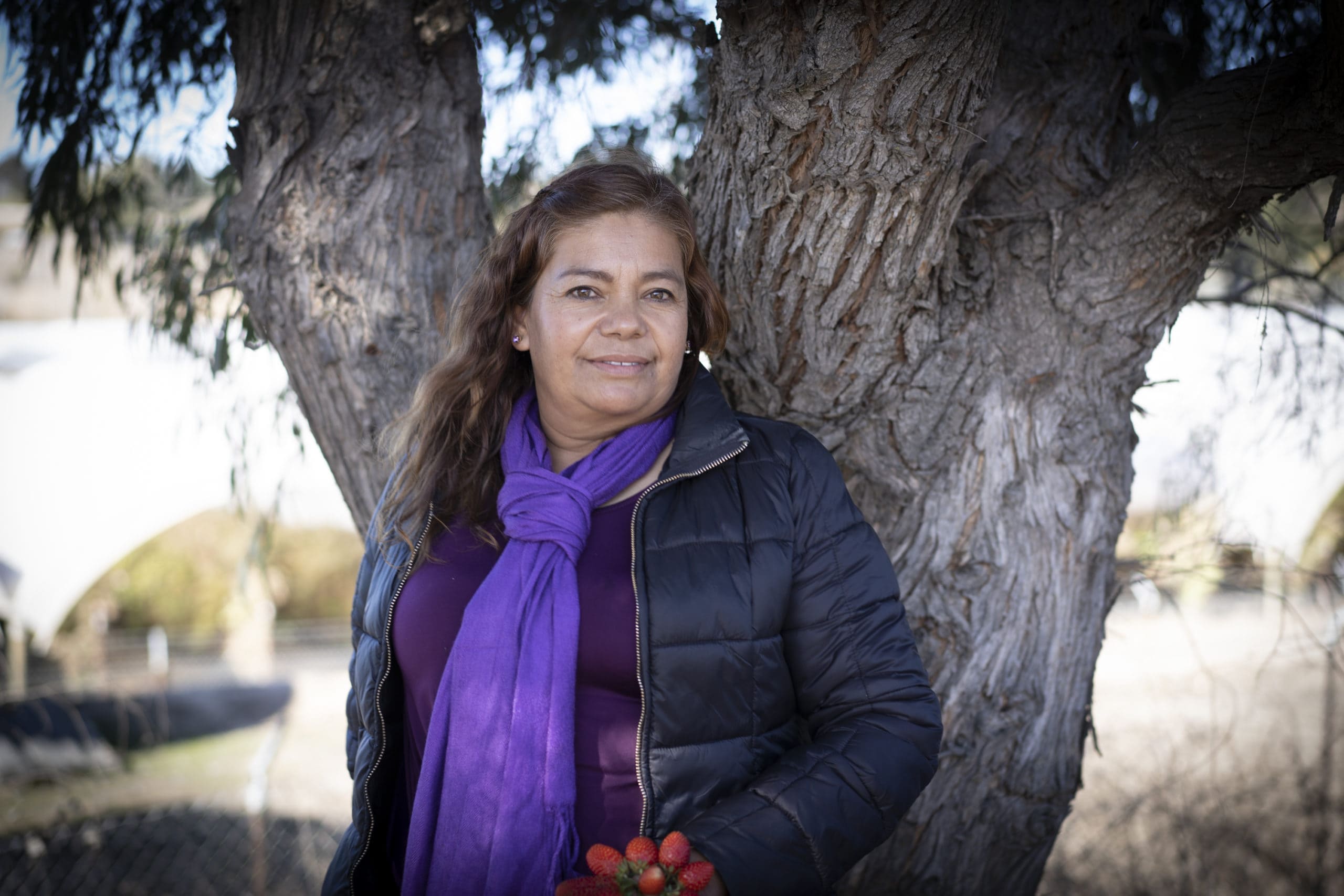 Mimi’s Organic - Lexicon of Food™