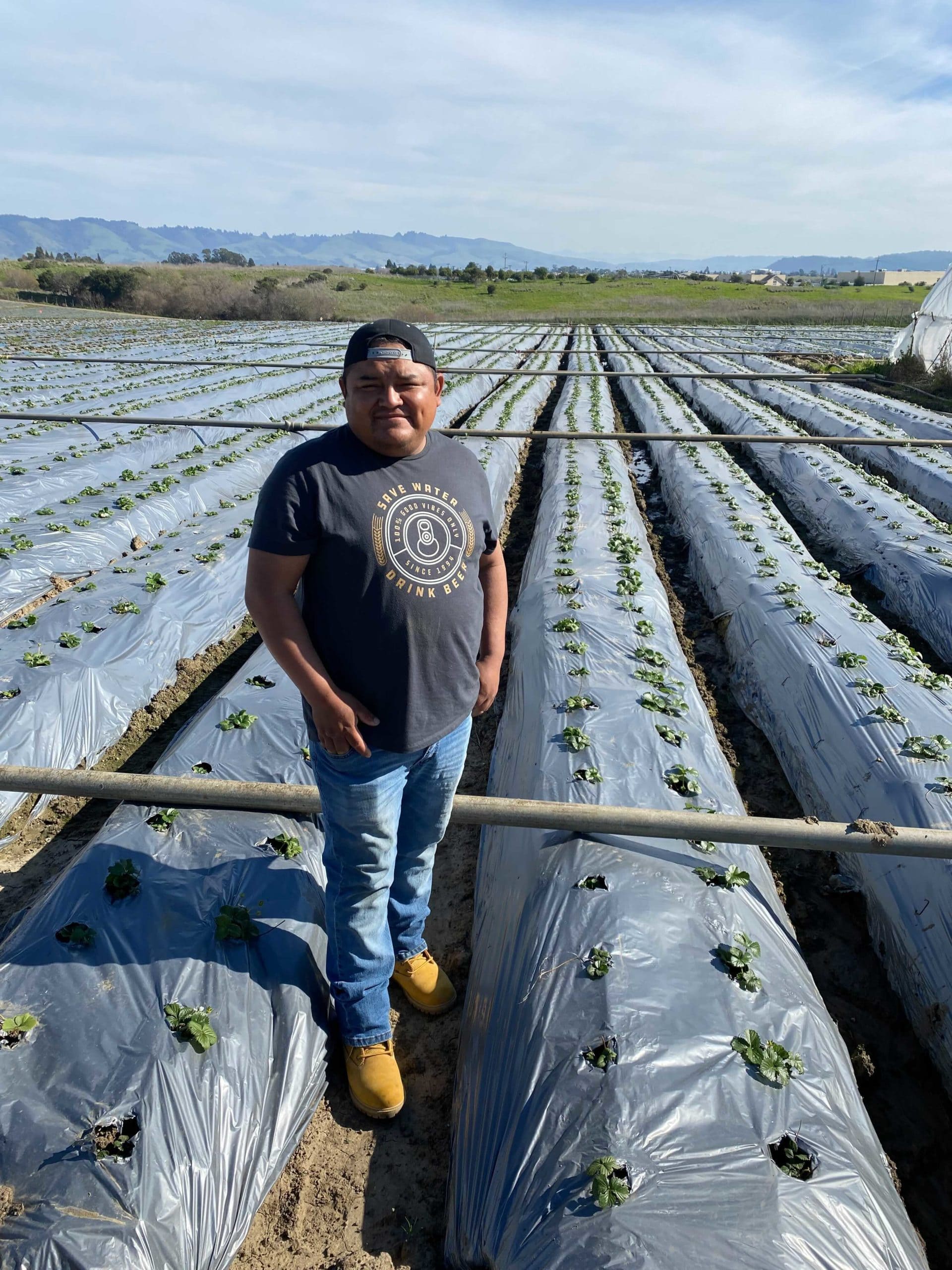 Chelito Organic Farms - Lexicon of Food™