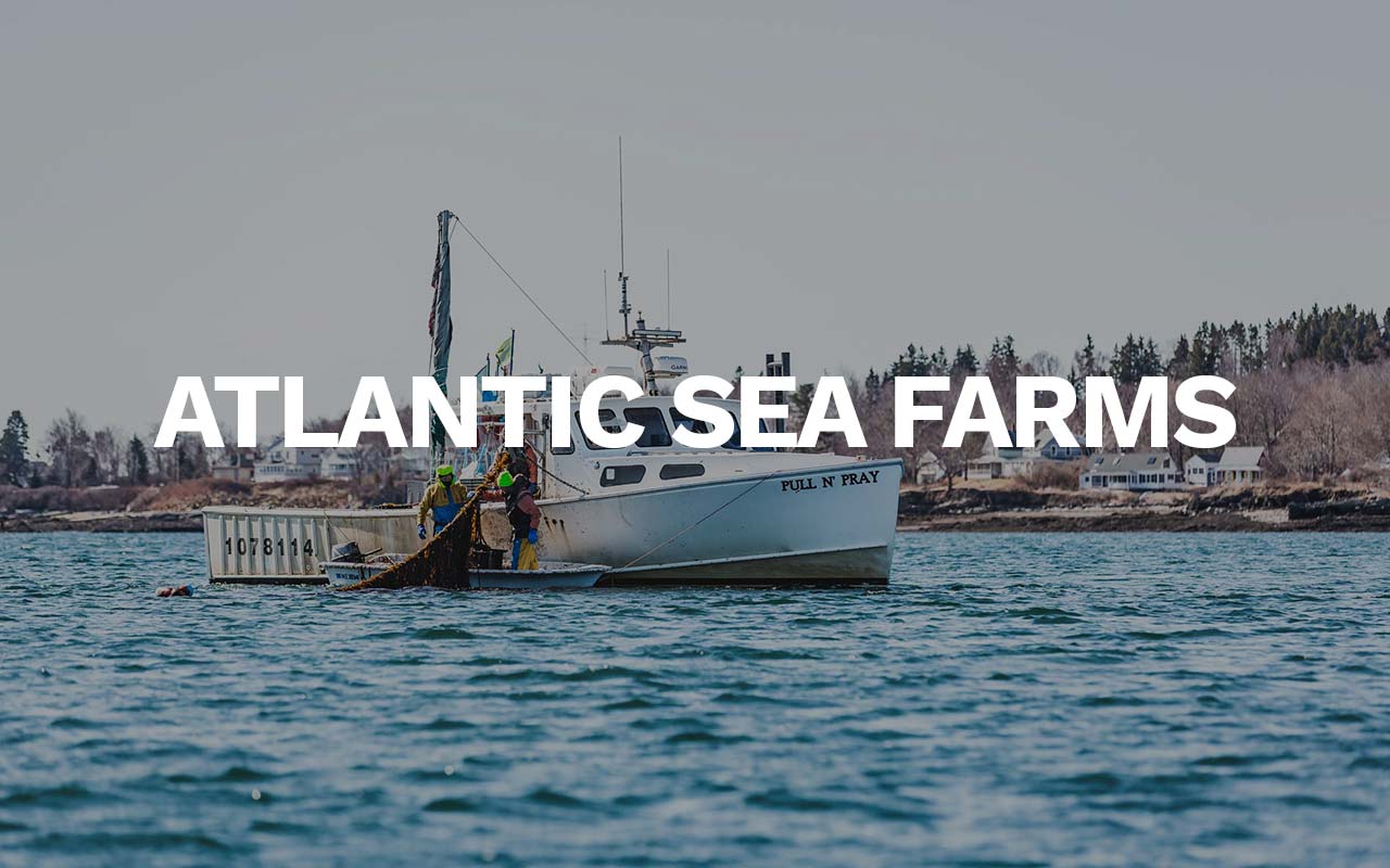 Atlantic Sea Farms - Lexicon of Food™