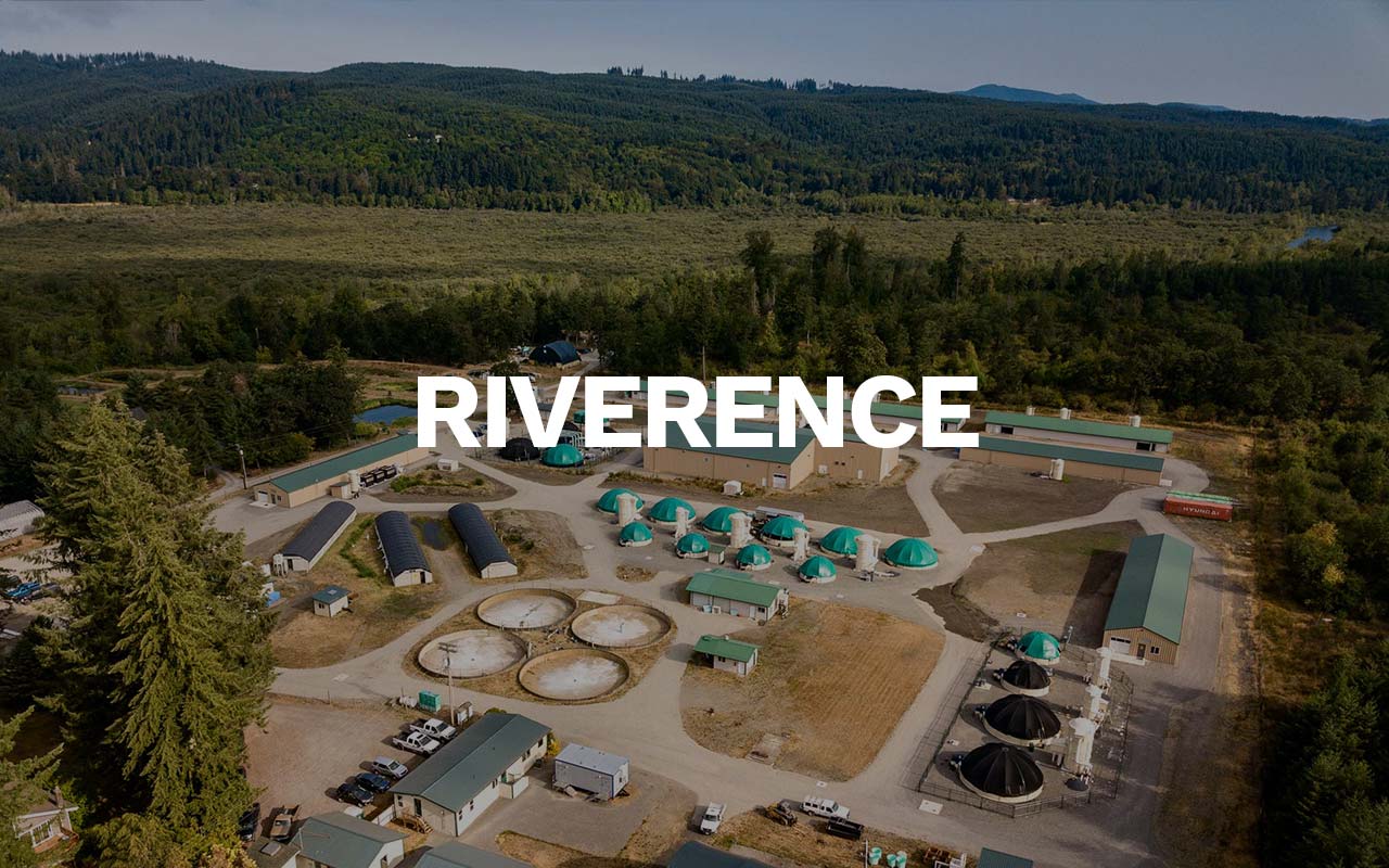 Aquaculture Case Study: Riverence
