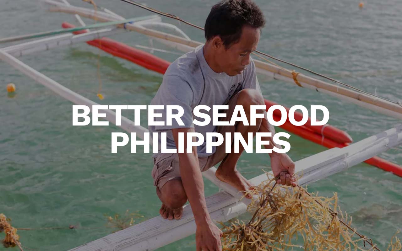 Fishery Case Study: Hainan Tilapia Sustainability Alliance